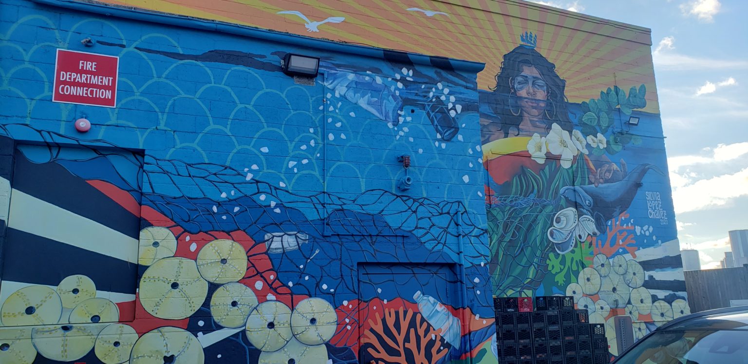 Chelsea resident Silvia Lopez Chavez honored with Massachusetts College ...